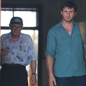 Dogs - Rotten Tomatoes