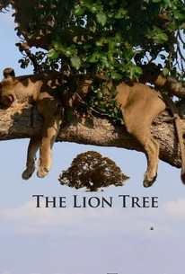 The Lion Tree | Rotten Tomatoes
