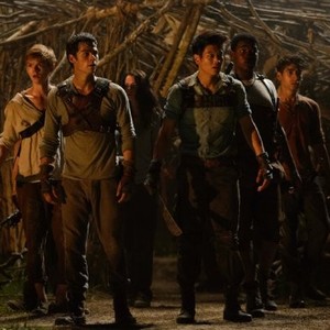 The Maze Runner - Rotten Tomatoes