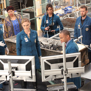 Bones - Rotten Tomatoes