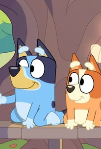Bluey: Season 3, Episode 6 - Rotten Tomatoes