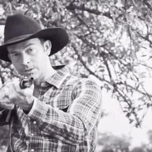 Levi Kreis - Rotten Tomatoes