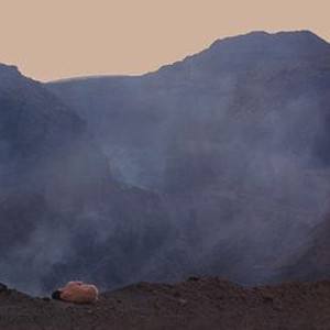 Behemoth - Rotten Tomatoes