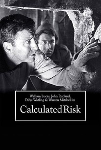 Calculated Risk (1962) | Rotten Tomatoes