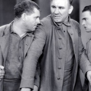 Numbered Men - Rotten Tomatoes