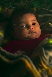 Luz: The Light of the Heart: Season 1, Episode 1 | Rotten Tomatoes
