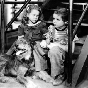 Sharyn Moffett - Rotten Tomatoes