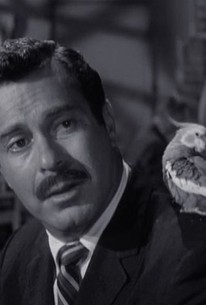 Peter Gunn: Season 2, Episode 8 | Rotten Tomatoes