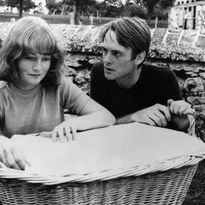 Yves Beneyton - Rotten Tomatoes