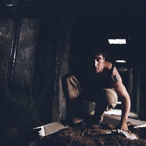 District B13 - Rotten Tomatoes