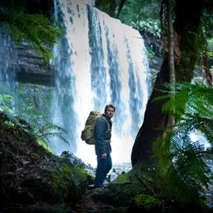 The Hunter - Rotten Tomatoes