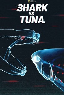 Shark Vs Tuna | Rotten Tomatoes