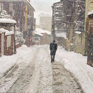 Distant - Rotten Tomatoes