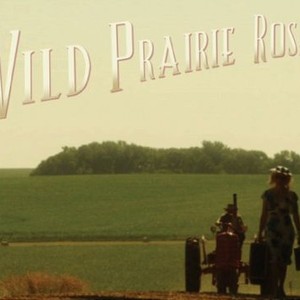 Wild Prairie Rose - Rotten Tomatoes