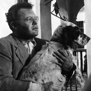 Rod Steiger - Rotten Tomatoes