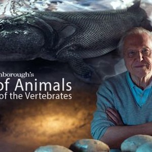 David Attenborough's Rise of Animals: Triumph of the Vertebrates ...