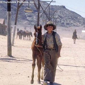 Running Free - Rotten Tomatoes