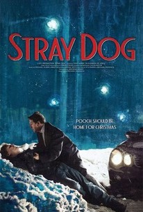 Stray Dog | Rotten Tomatoes