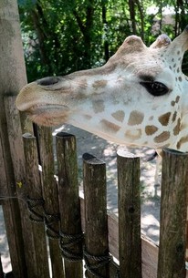 The Zoo: Season 1, Episode 8 | Rotten Tomatoes