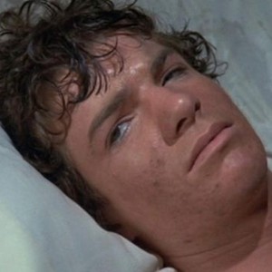 Wonder Woman - Rotten Tomatoes