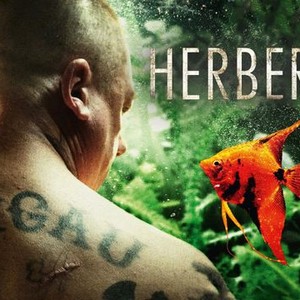Herbert - Rotten Tomatoes