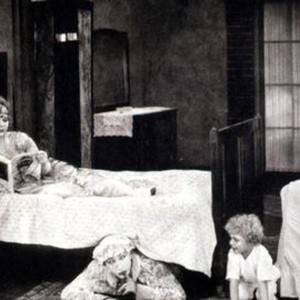 The Bell Hop - Rotten Tomatoes