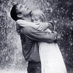 Poor Cow - Rotten Tomatoes