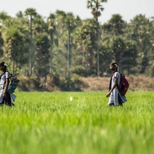 On the Way to School - Rotten Tomatoes