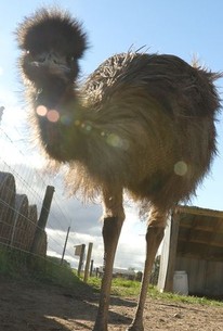 The Incredible Pol Farm: Season 1, Episode 6 | Rotten Tomatoes