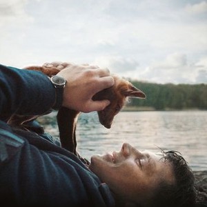 The Fox - Rotten Tomatoes