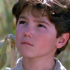 The Education of Little Tree - Rotten Tomatoes