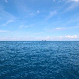 Wind on Water - Rotten Tomatoes