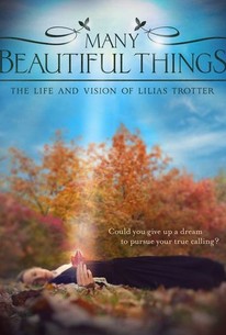 Many Beautiful Things | Rotten Tomatoes