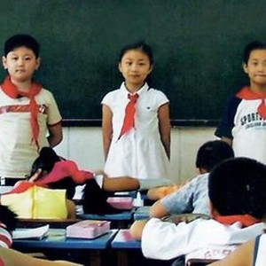 Please Vote for Me - Rotten Tomatoes