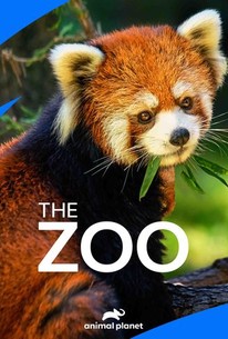 The Zoo | Rotten Tomatoes