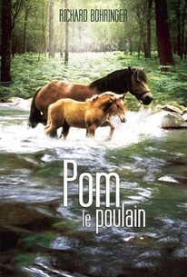 Pom le poulain | Rotten Tomatoes