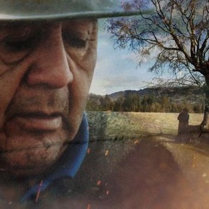 Border - Rotten Tomatoes