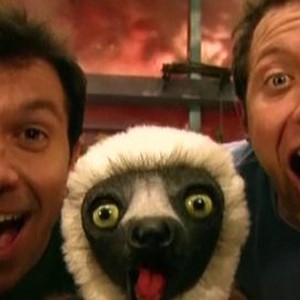 Zoboomafoo: Season 2, Episode 4 - Rotten Tomatoes