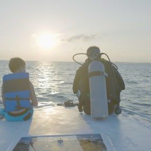 Dolphin Kick - Rotten Tomatoes