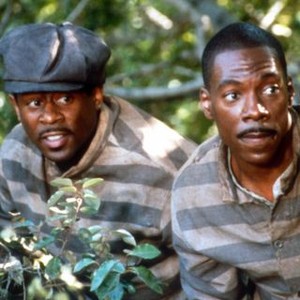 Life - Rotten Tomatoes