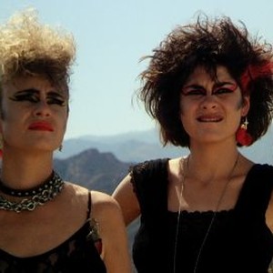 Punk Vacation - Rotten Tomatoes