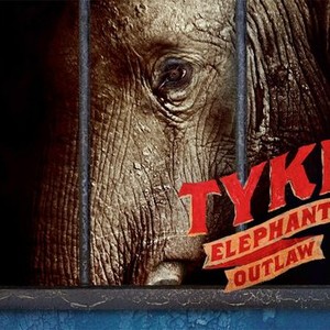 Tyke Elephant Outlaw - Rotten Tomatoes