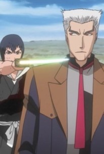 Bleach: Season 5, Episode 16 | Rotten Tomatoes