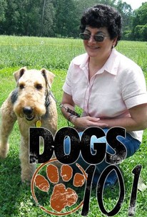 Dogs 101 | Rotten Tomatoes