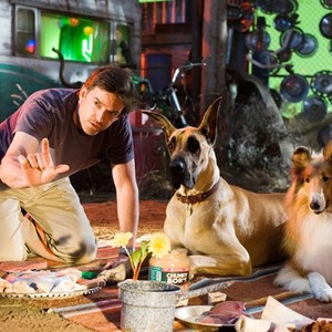 Marmaduke - Rotten Tomatoes