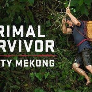 Primal Survivor: Mighty Mekong: Season 1, Episode 5 - Rotten Tomatoes