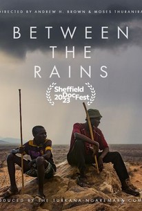between-the-rains-rotten-tomatoes