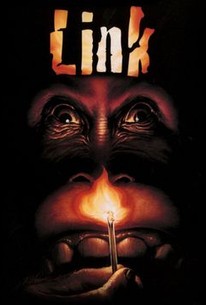 Link - Rotten Tomatoes