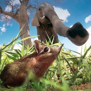 Hidden Kingdoms: Season 1, Episode 2 - Rotten Tomatoes