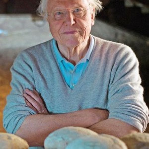 David Attenborough's Rise of Animals: Triumph of the Vertebrates ...